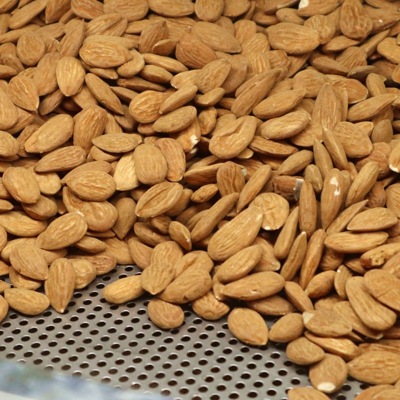 Bio-Mandeln 800g Süßmandeln der Sorte Guara aus regenerativem Bioanbau